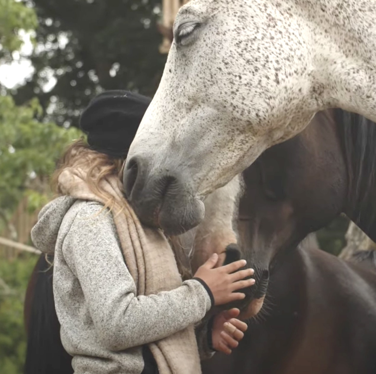 Casa dos Sonhos | Horse listening